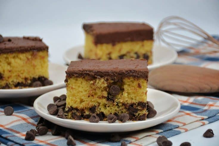 Chocolate Chip Cake - CheekyKitchen
