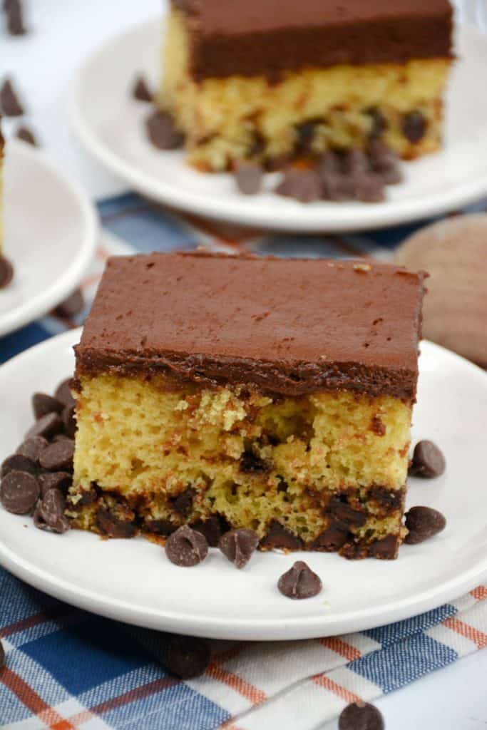 Chocolate Chip Cake - CheekyKitchen