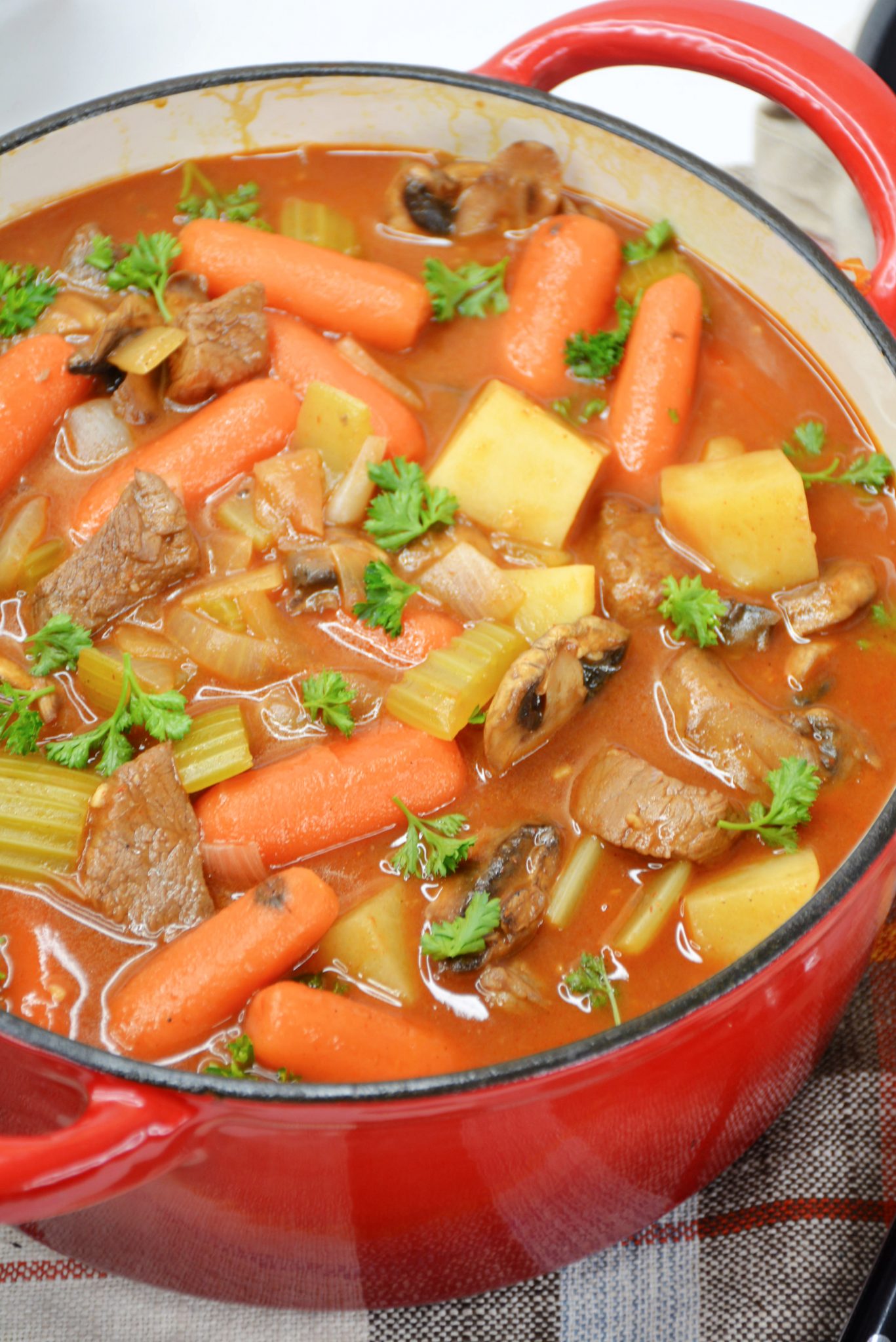 Best Ever Beef Stew - CheekyKitchen