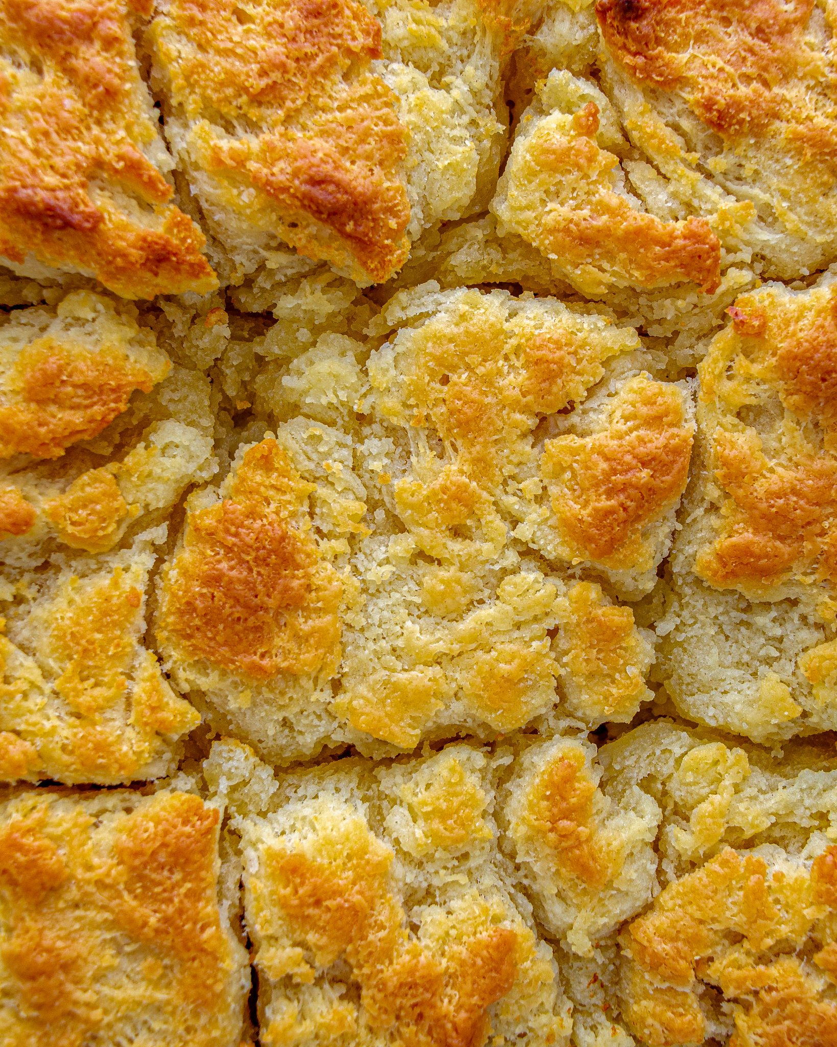Swimming Biscuits - CheekyKitchen